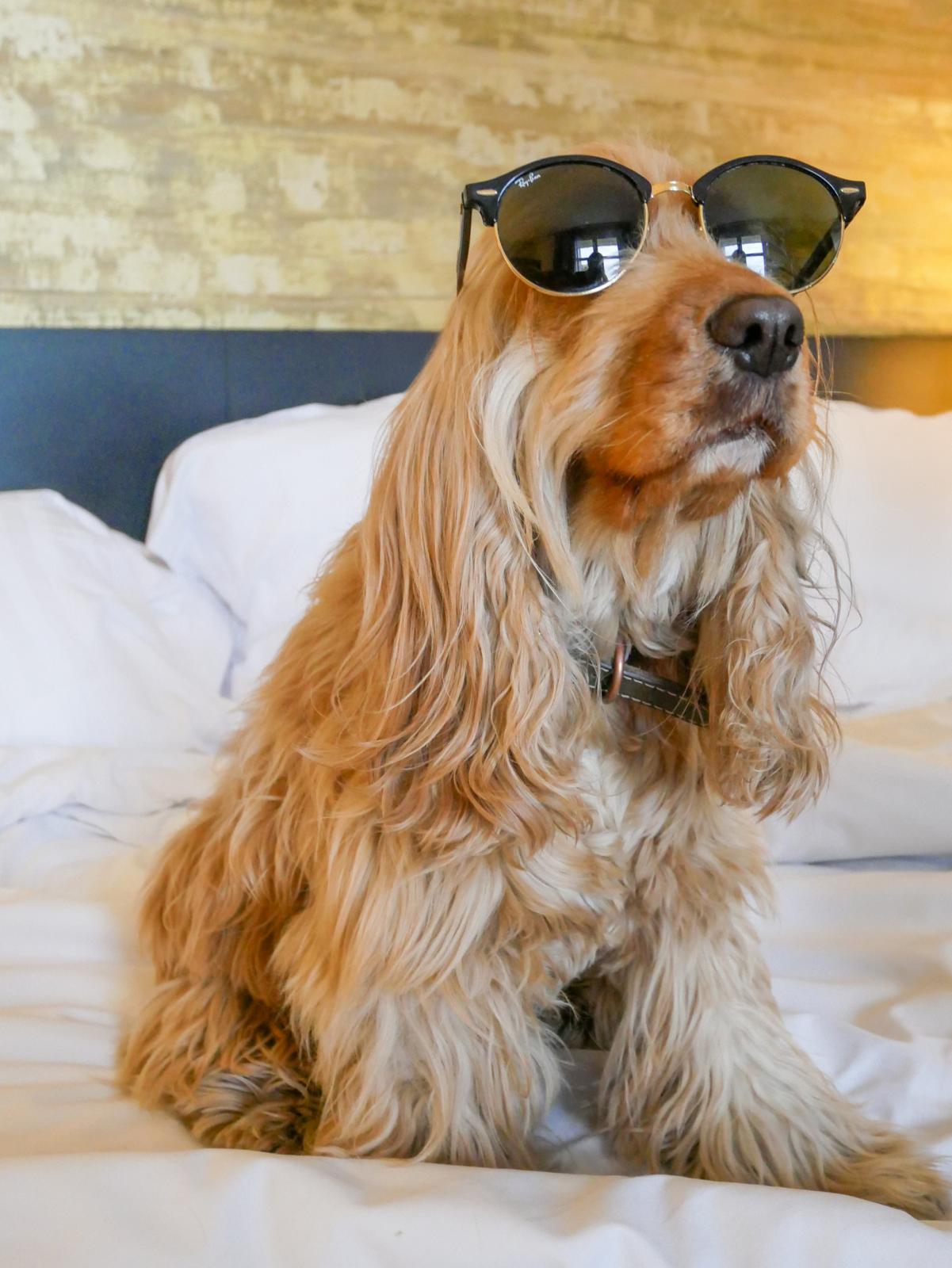 Hotel Locarno Nice | Official Website | 3-Star Hotel near Beaches